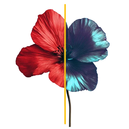 Image Color Changer | Free Online Color Editor Tool | PictTools